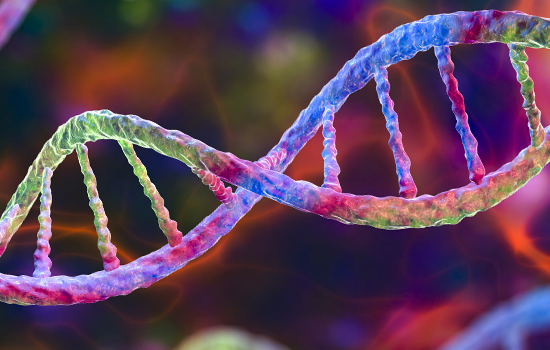 Cell Line Development | FUJIFILM Biotechnologies