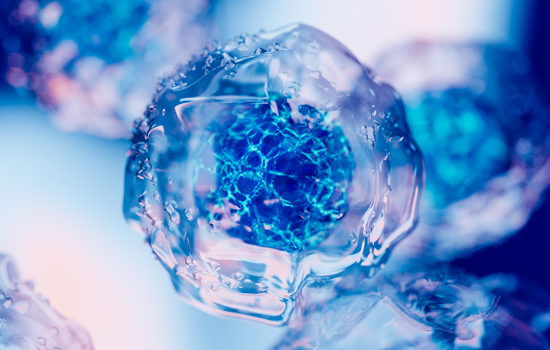 Realizing A New Approach to Allogeneic Cell Therapy Process Development ...