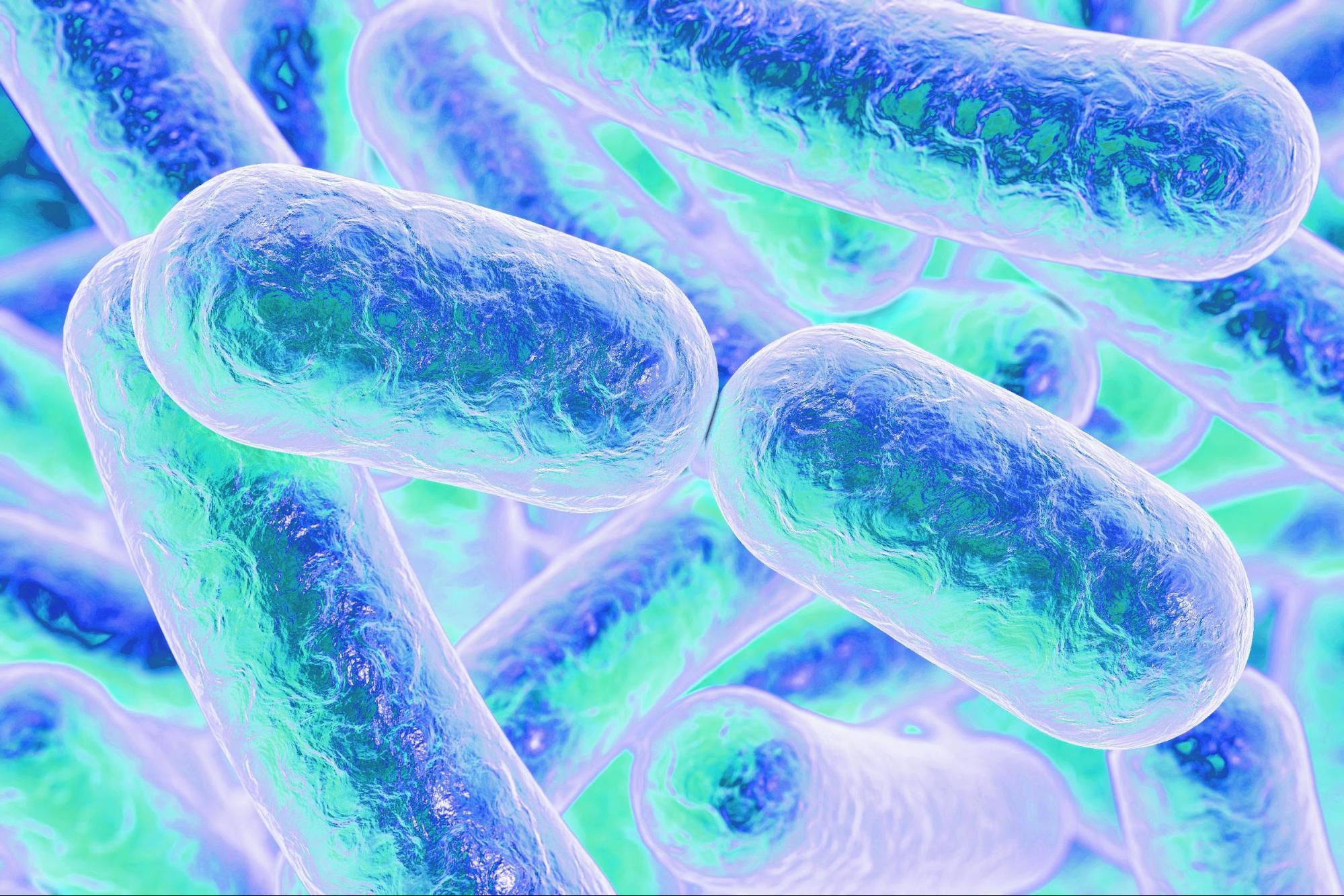 Paveway™ PLUS Microbial Expression Platform | Microbial Strain Development
