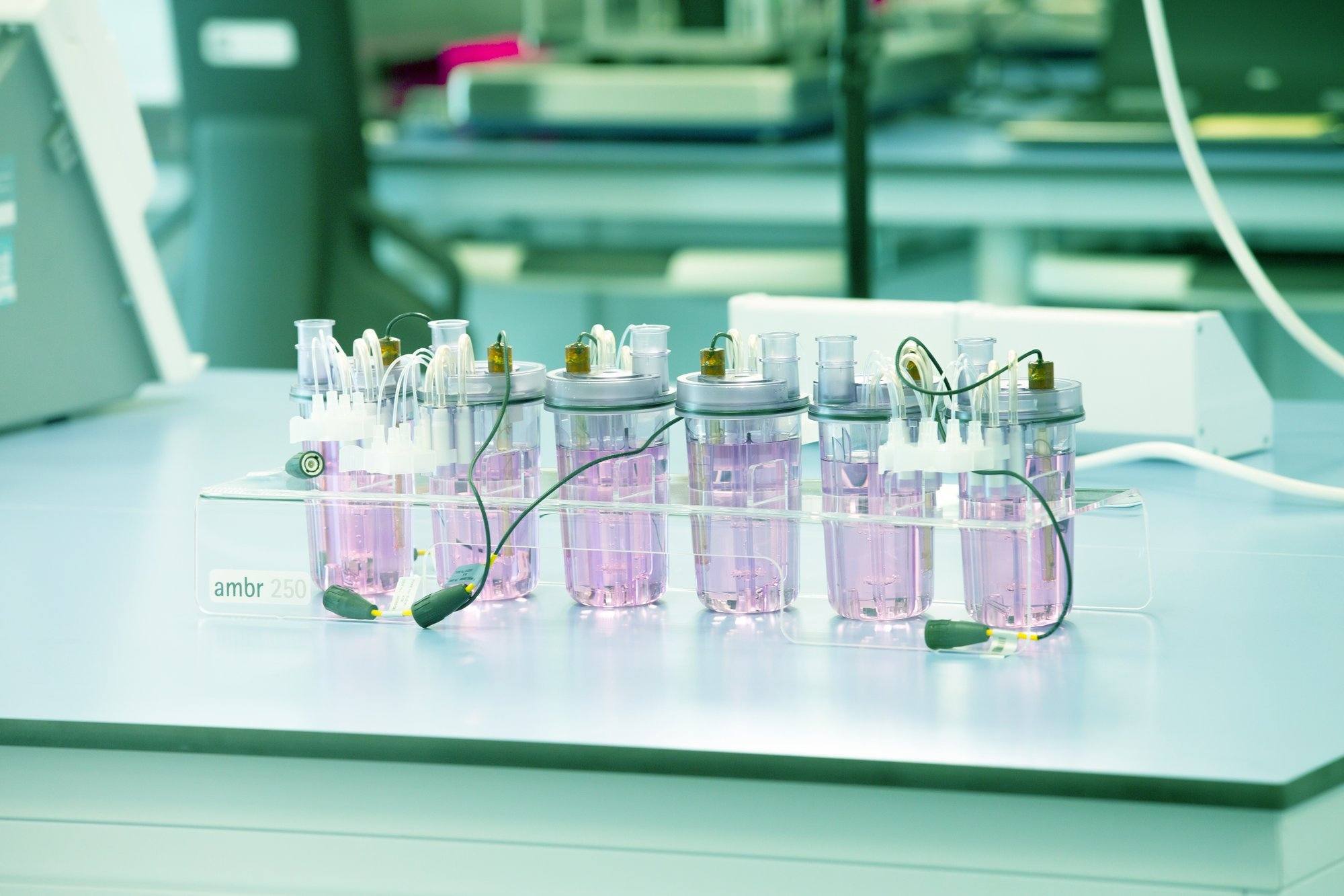 Mammalian Process Development | FUJIFILM Biotechnologies